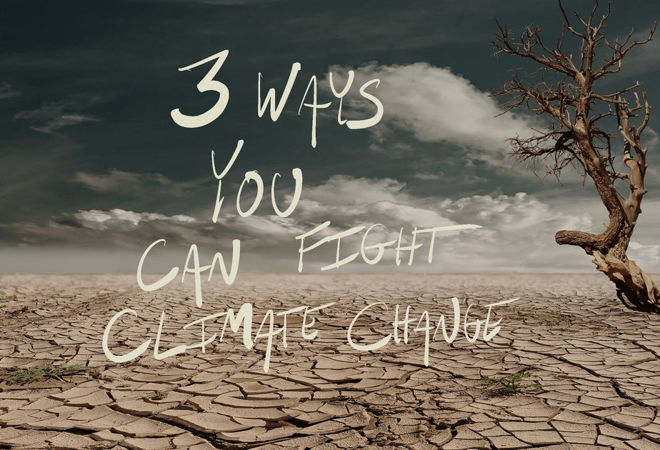 3 Ways You Can Fight Climate Change Today – PILLLAR